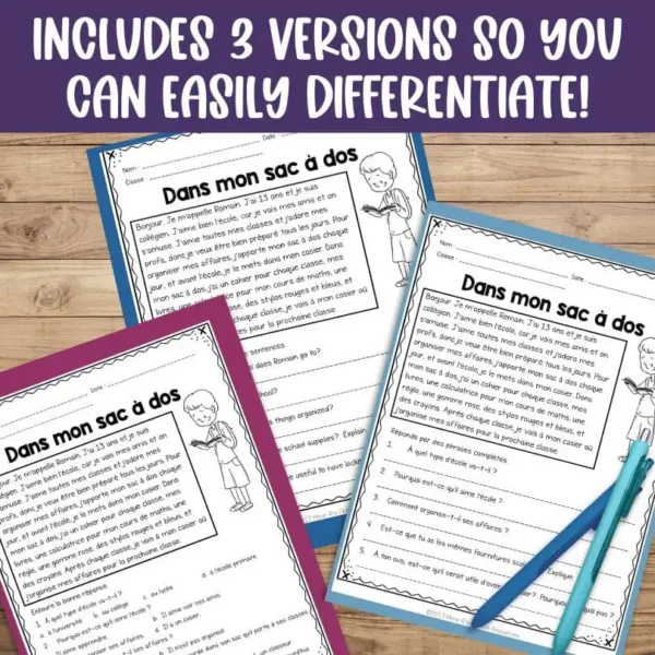 French reading comprehension set 2 - Mme R's French Resources