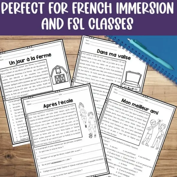 French reading comprehension set 6 - Mme R's French Resources