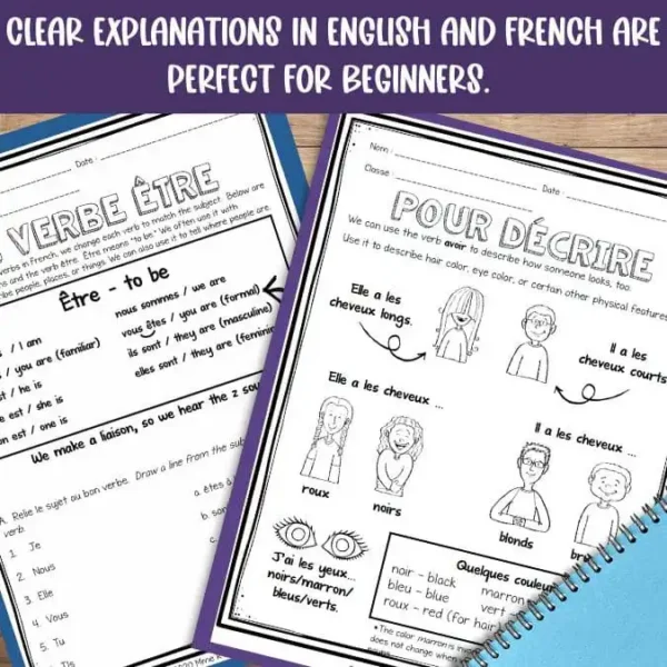 French irregular verbs worksheets - Mme R's French Resources