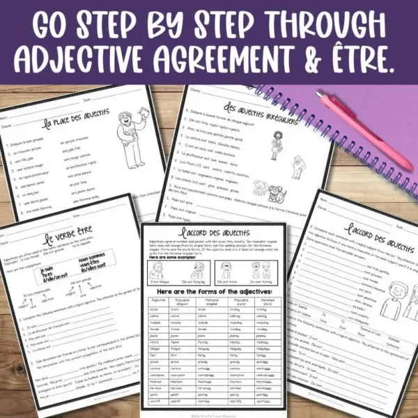 French adjectives worksheets - Mme R's French Resources
