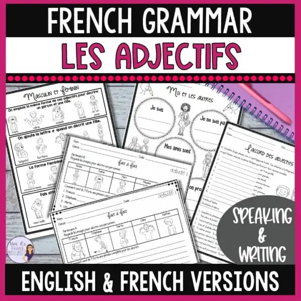 French adjectives worksheets - Mme R's French Resources